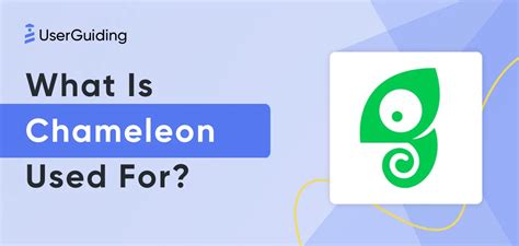 Advanced Guide To Software Onboarding Examples Guidelines Metrics