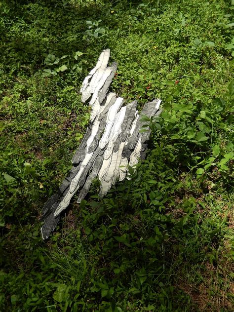 3d — Amelia Eldridge