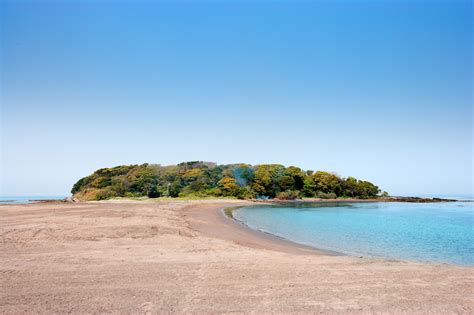 館山のバリアフリー観光情報 介護旅行ねっと 介護付き旅行バリアフリー観光サイト
