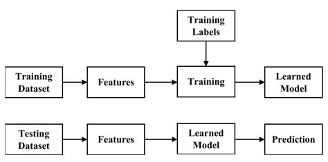 activities involved in computer vision system recognition