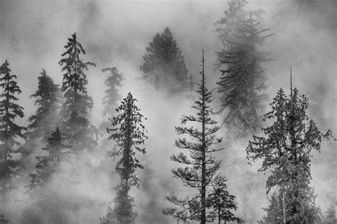 Kogito Tooling Examples — How To Create A Custom Editor In A React Application Kie Community