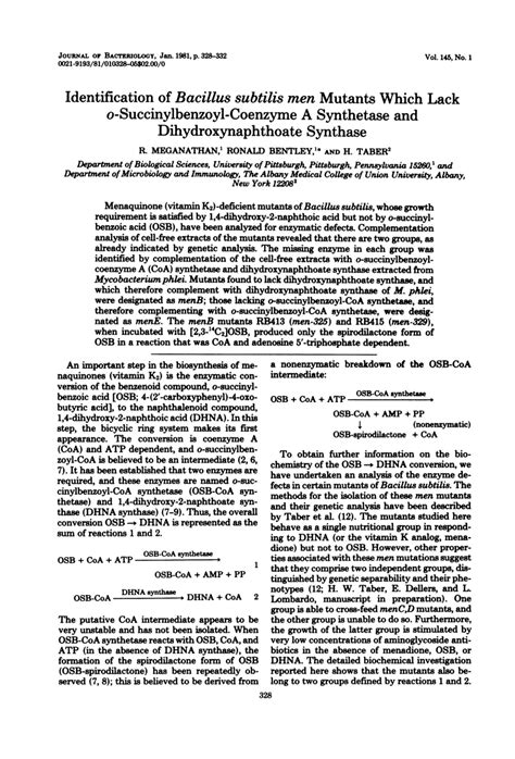 Pdf Identification Of Bacillus Subtilis Men Mutants Which Lack O
