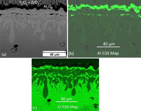microstructure evolution in a sample after intermediate thermal cycling