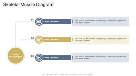 Skeletal Muscle Diagram PowerPoint Templates Slides And Graphics