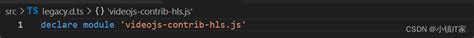 React使用videojs播放rtmp，hls视频reacttsreact Player 播放rtsp Csdn博客