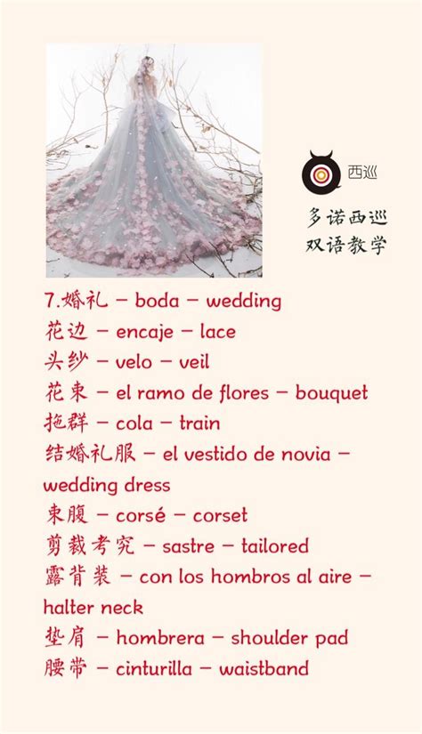 打折季史上最全与服饰相关的西班牙语词汇 知乎