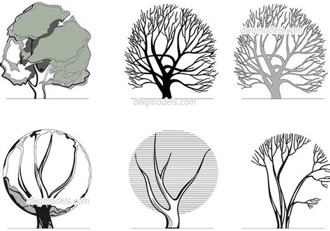 Pin On Trees Plants