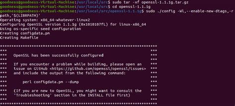 activating nginx to redirect to traffic