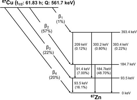 Decay Scheme Of ⁶⁷cu Including Gamma Rays And Their Corresponding