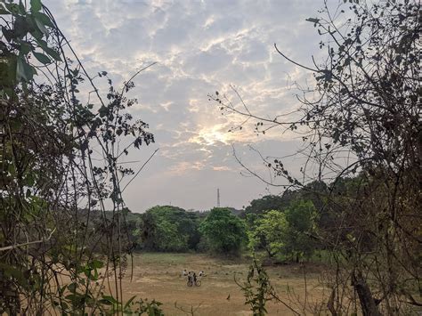 Aarey Colony Photo Dump R Mumbai