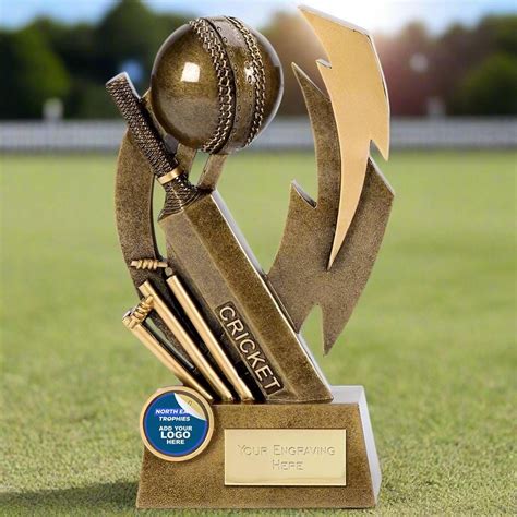 Cricket Trophy Design Artofit