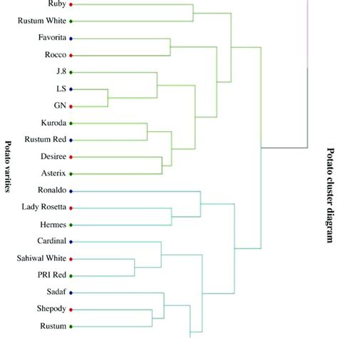 Diagrammatic Representation Of Cluster Dendrogram Based On Neis
