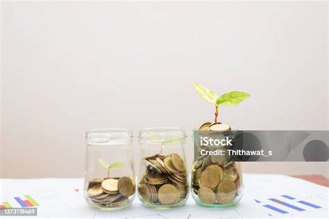 금융 회계 분석 문서 보고서 서류 진행 성장 그래프와 테이블에 돈과 차트에 녹색 잎 0명에 대한 스톡 사진 및 기타 이미지