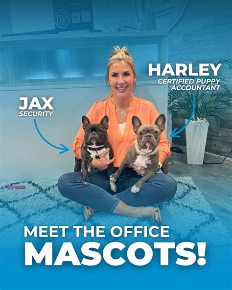 Jeff Meet Our Office Mascots Did You Know Our Office Mascots Are Jax