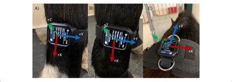 Accelerometer Axes Based On Sensor Location And Orientation Axes Are Download Scientific