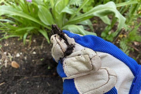 Does Your Soil Pass The Underwear Test