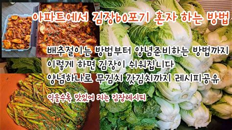 김장 60포기 아파트에서 혼자 절이고 담는 방법 양념하나로 무김치 갓김치까지 맛있는게 담는 양념레시피 김장 쉽게 하는 노하우 공개 Youtube