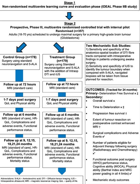 Trial Flowchart Dti Diffusion Tensor Imaging Intraop Download Scientific Diagram