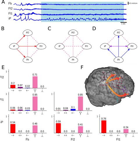 Cortical Connectivity During Epileptic Seizure A Csd Signal At Download Scientific Diagram