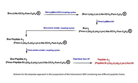 Synthesis Of Multi Antigenic Peptides Map Synthesis Qyaobio