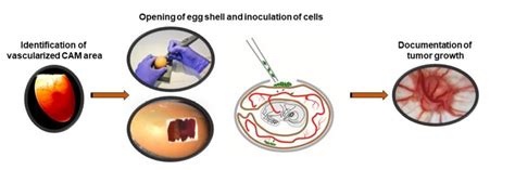 methods and protocols mdpi on linkedin callforreading recommendations free methods article