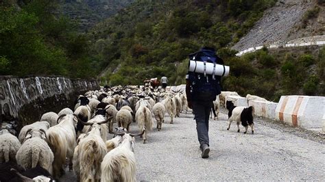 world trails film festival moving upstream ganga world trails film