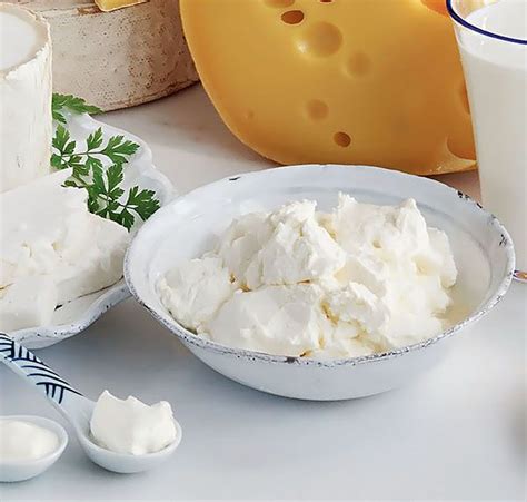Some Fermented Foods Are Outstanding Sources Of Essential Nutrients