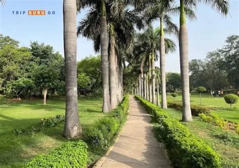 Nehru Park Delhi Timings Entry Fee Metro Route And Best Spots Trip