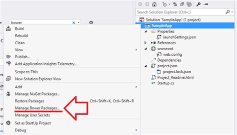Asp Net Core Project Layout In Visual Studio