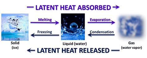Latent Heat Qs Study