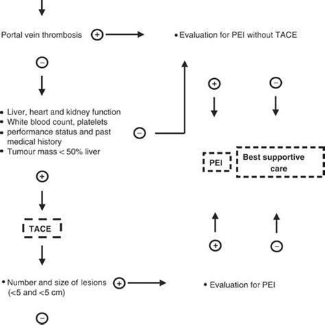 Treatment Algorithm For Patients With Hcc Download Scientific Diagram