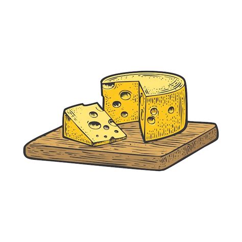 Premium Vector A Drawing Of Cheeses On A White Background With A