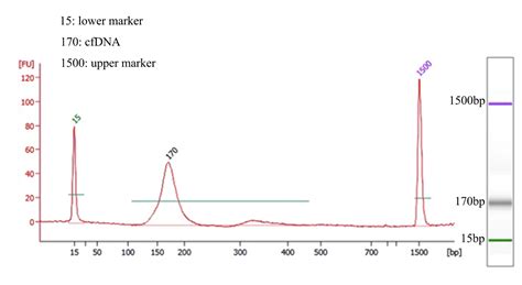 Detection Of Rare Mutations In Ctdna Using Next Generation Sequencing