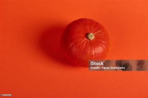 밝은 주황색 배경에 격리된 작은 유기농 호박이 있는 단색 정물 공간을 복사합니다 모형 추수 감사절 가을에 대한 스톡 사진 및 기타 이미지 Istock