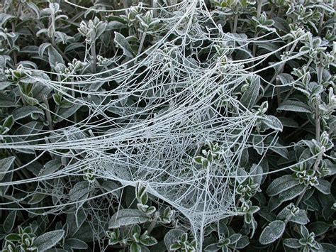 Real Time Applications With Angular And Websocket A Practical Guide Kmf Blogs