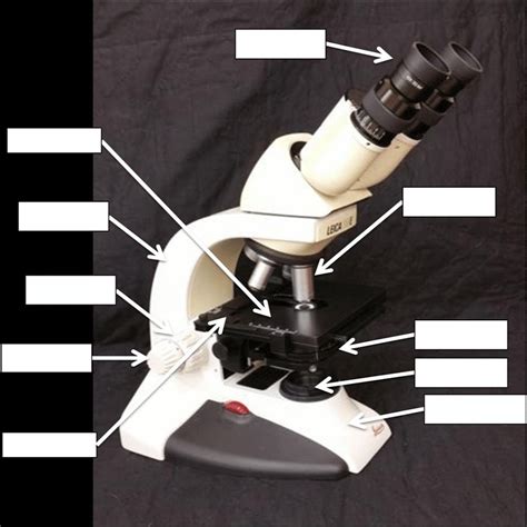 Scientific Research Navigating The Labeled Microscope Landscape