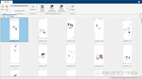 【程序】基于matlab使用训练分类网络预处理多分辨率图像 知乎