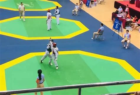 我校跆拳道队再创佳绩 欢迎访问河北衡水桃城中学网站