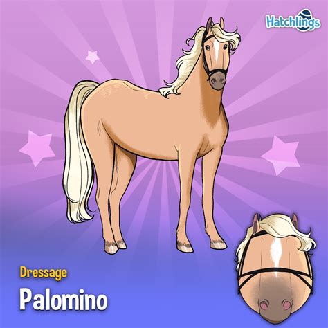 Hatchlings Our Dressage Egg Series Continues With The