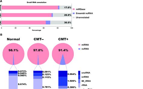 Small Rna Annotation Analysis A Portions Of The Annotated And Download Scientific Diagram