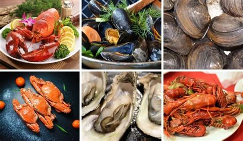 Can You Cook Shellfish Ahead Of Time Reheating And Storeage Tips For Lobster Shrimp Mussle