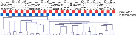 Cluster Analysis Based On Spearman Rank Correlation Unstimulated