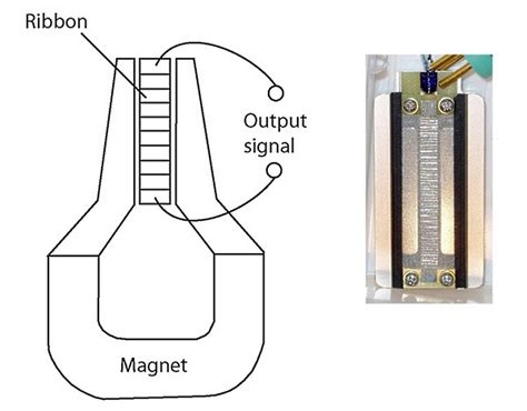 Ribbon Microphone Diagram At Constance Woodford Blog
