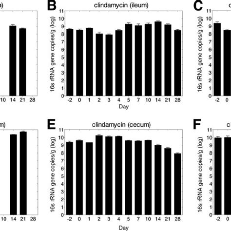 C Difficile Infection Following Clindamycin Treatment Results In