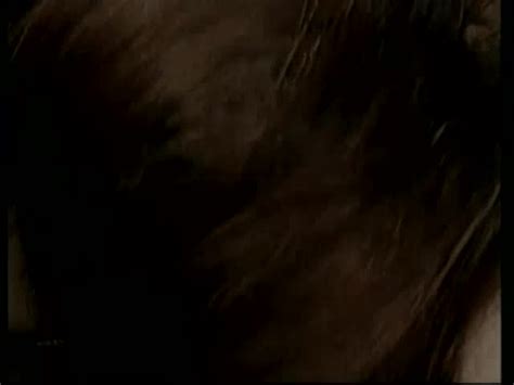 Group Sex 2 Wild Bunch Part 2 2002 Adam And Eve Adult Dvd Empire