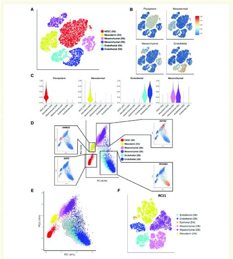 Single Cell Rna Sequencing Ngs Analysis