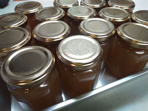 いつのまにやらアウトドア 楽天ブログ