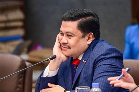 Photo Release Jinggoy Bemused At Alice Guos And Sual Mayors Denial