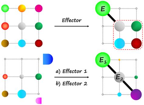 Higher Order Constitutional Dynamic Networks 2×3 And 3×3 Networks Higher Order Constitutional Dynamic Networks 2×3 And 3×3 Networks