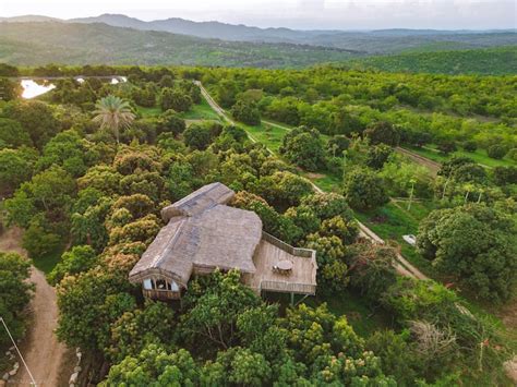 Eco Treehouse Stunning Private Escape Near Nbi Treehouses For Rent